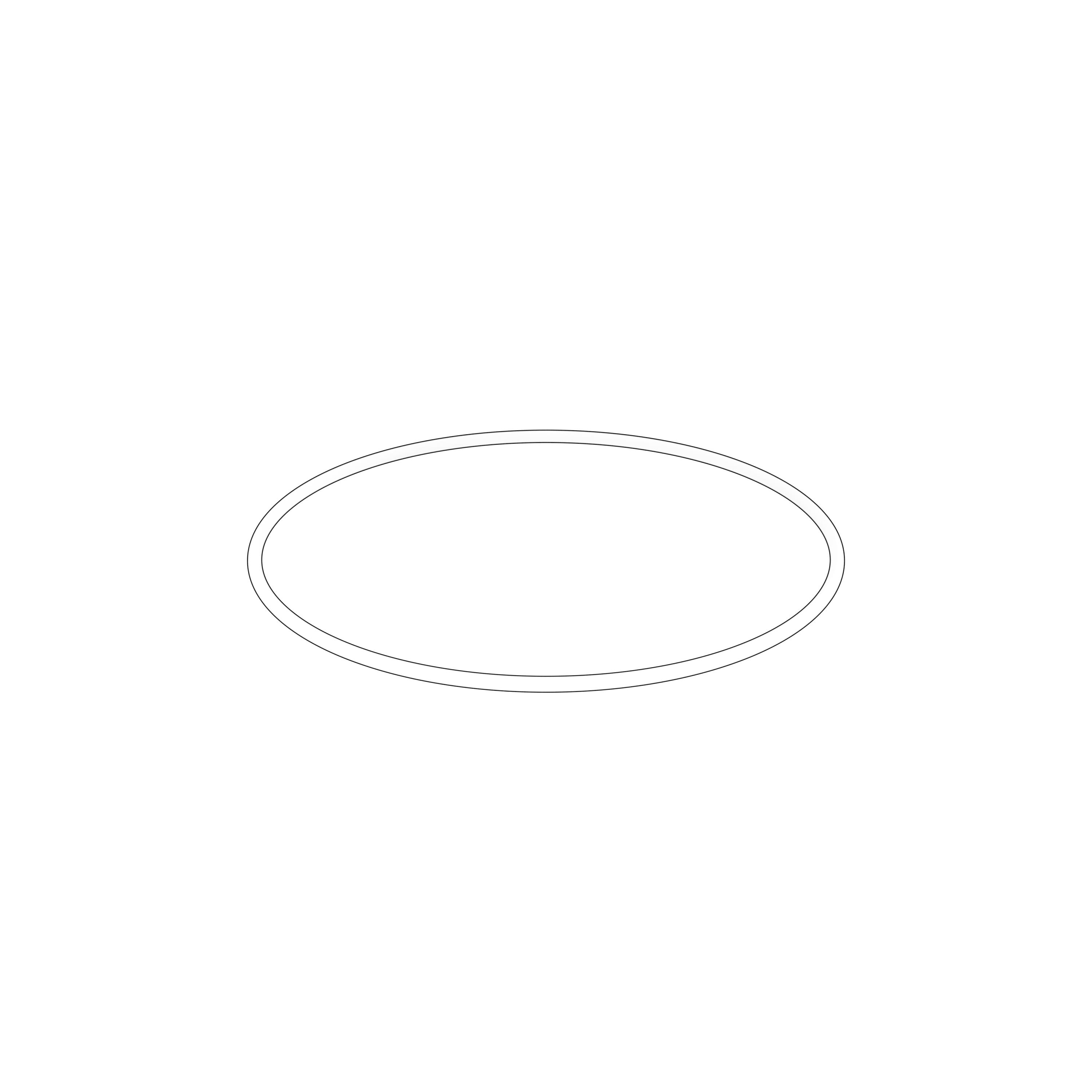 O-ring