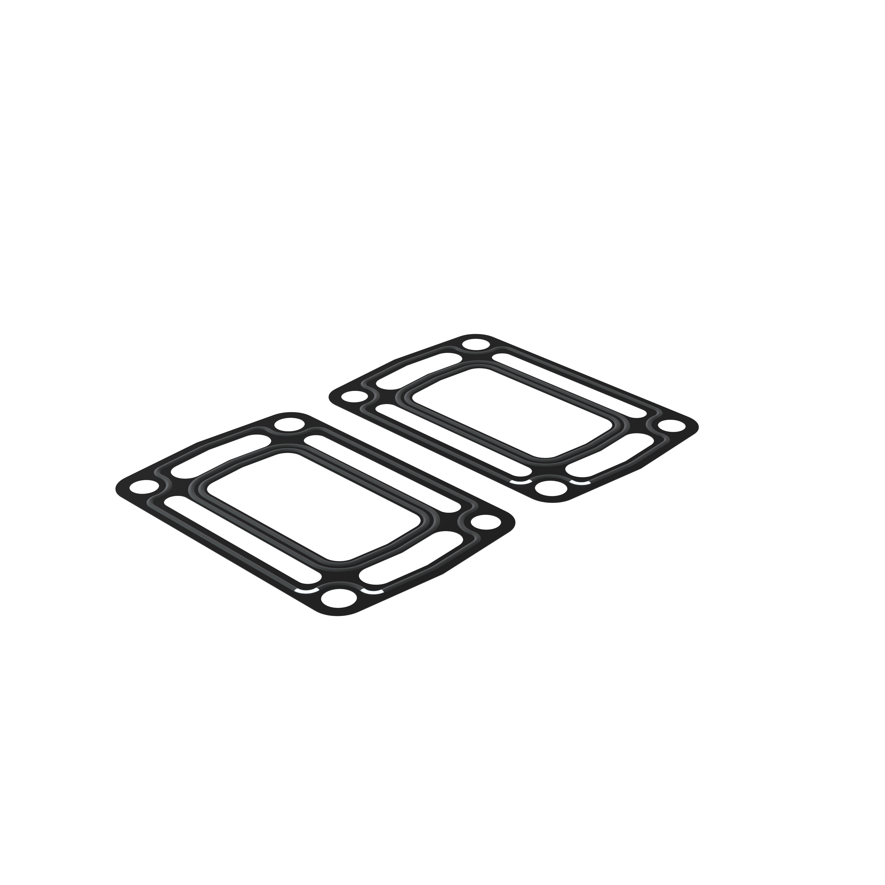 gasket kit